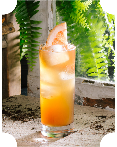 Finder's Spring Soda Recipe – The Pathfinder Spirit