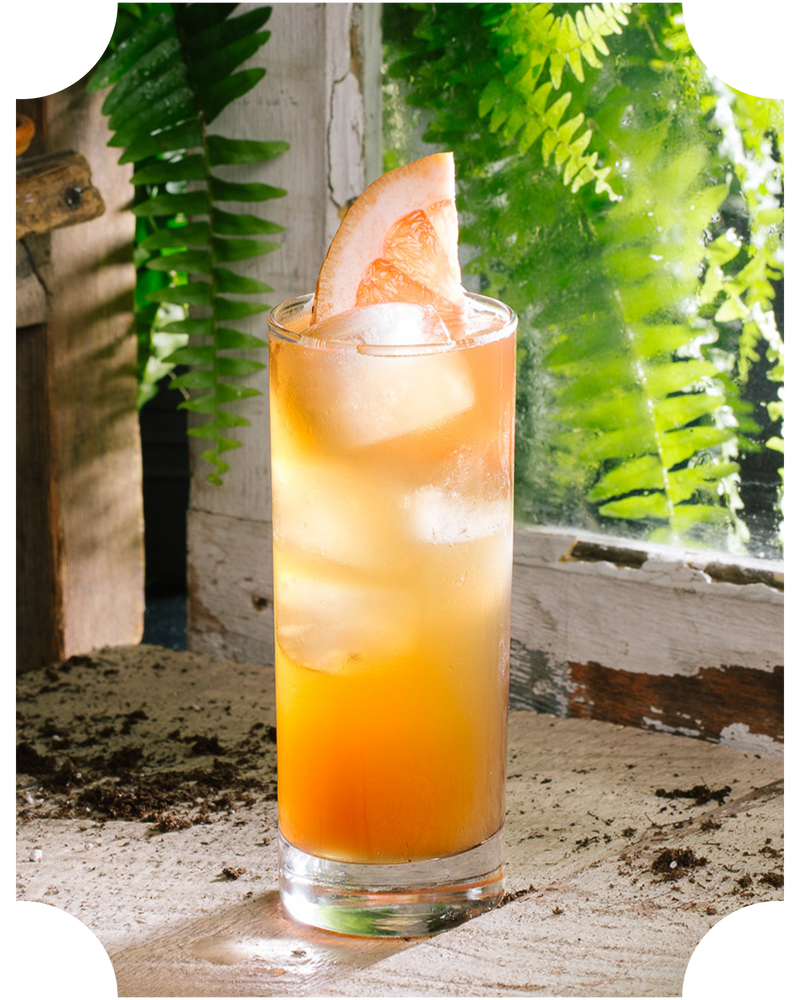 Finder's Spring Soda Recipe – The Pathfinder Spirit